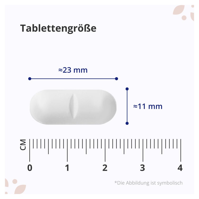 HealthyWorld Calcium + Magnesium + Zink – 9 Vitalstoffe mit Vitamin D3 ...