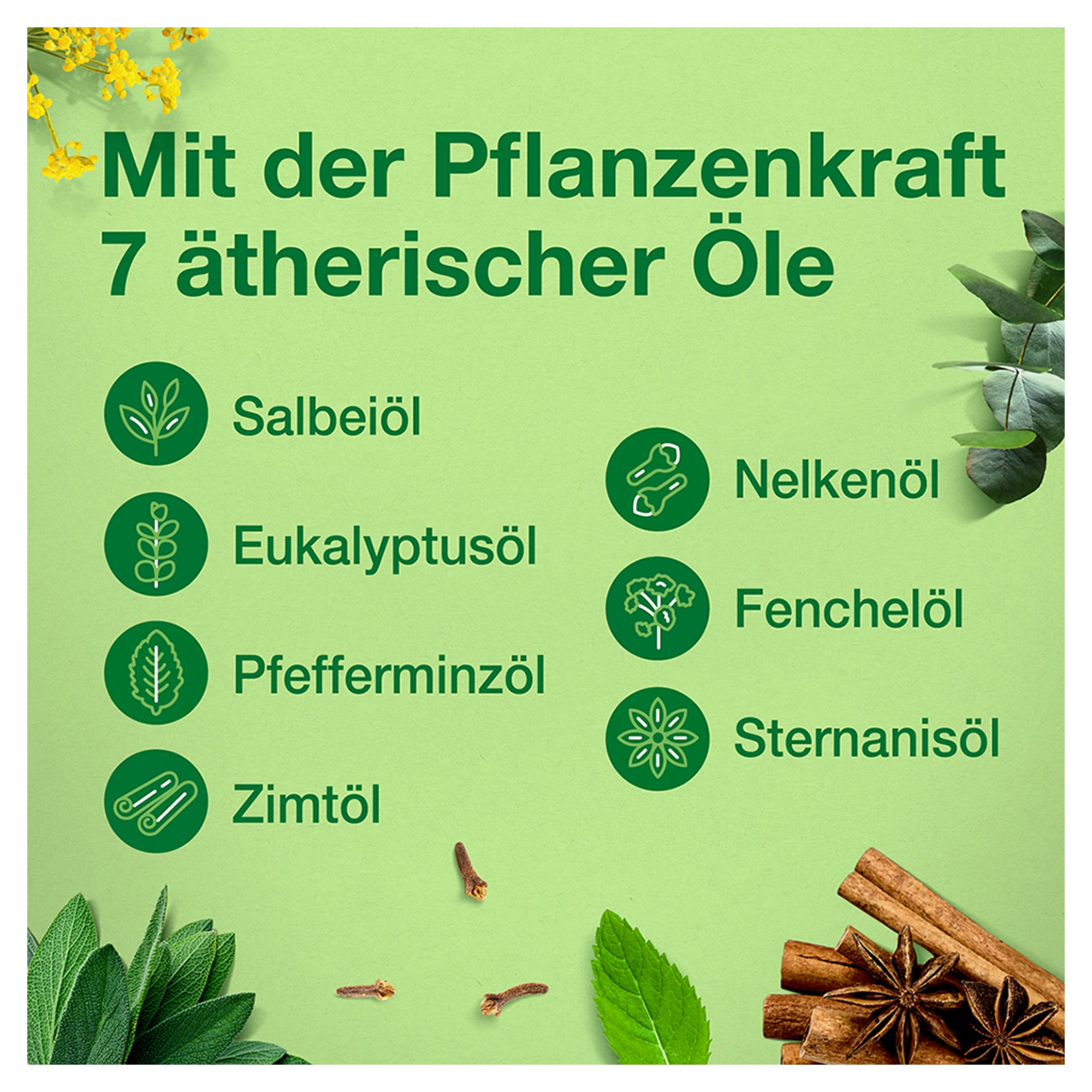 Salviathymol N Madaus online kaufen | medpex