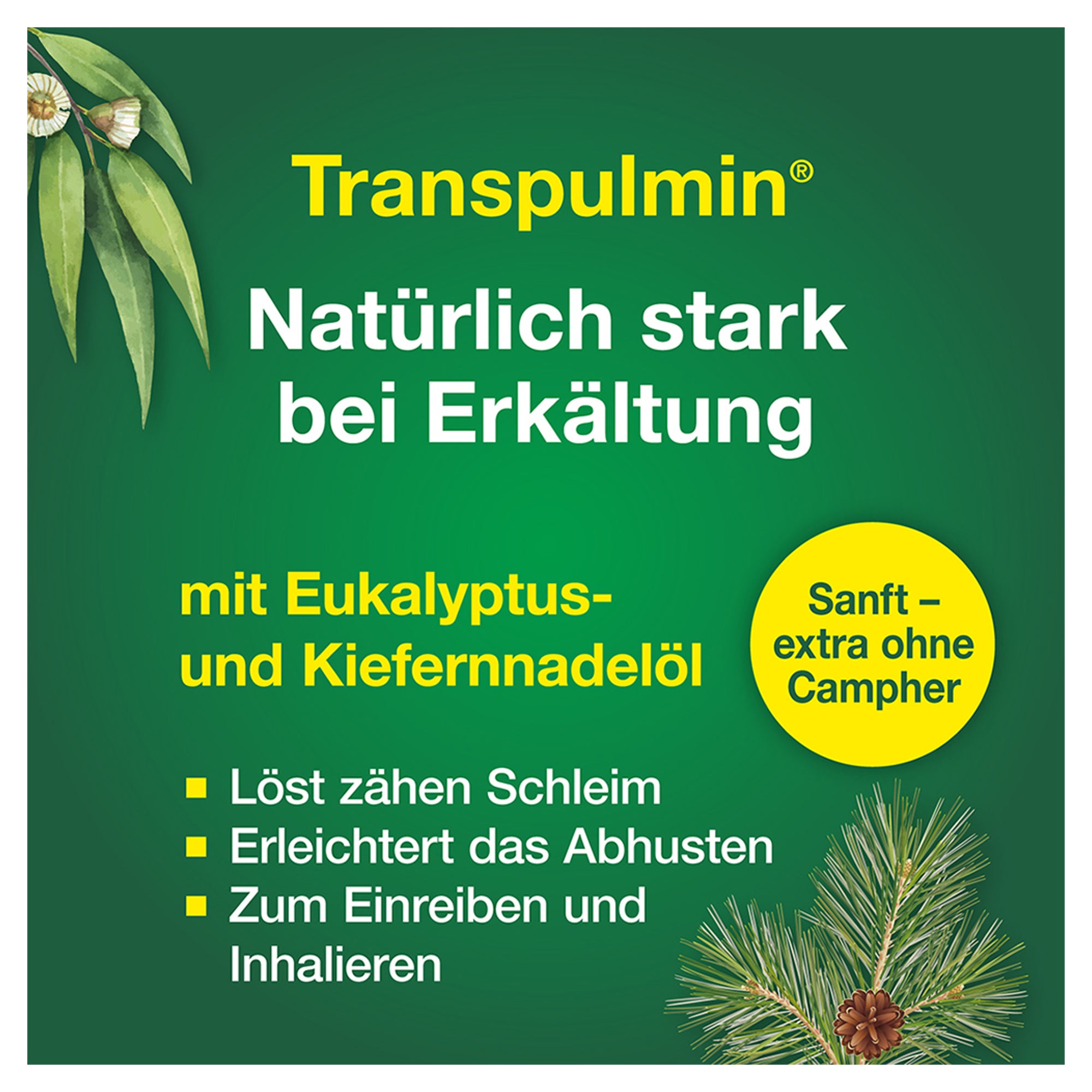 Transpulmin Erkältungsbalsam für Kinder kaufen | medpex