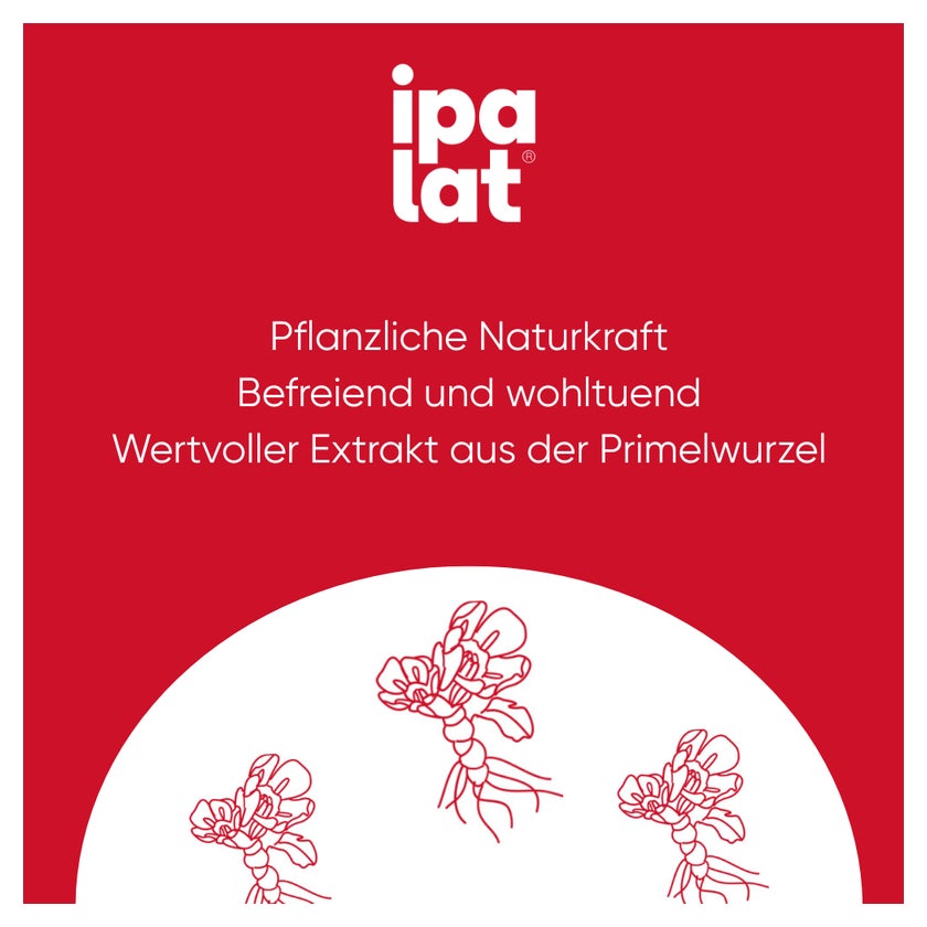 ipalat® Die Halspastille Classic 120 St günstig kaufen | medpex