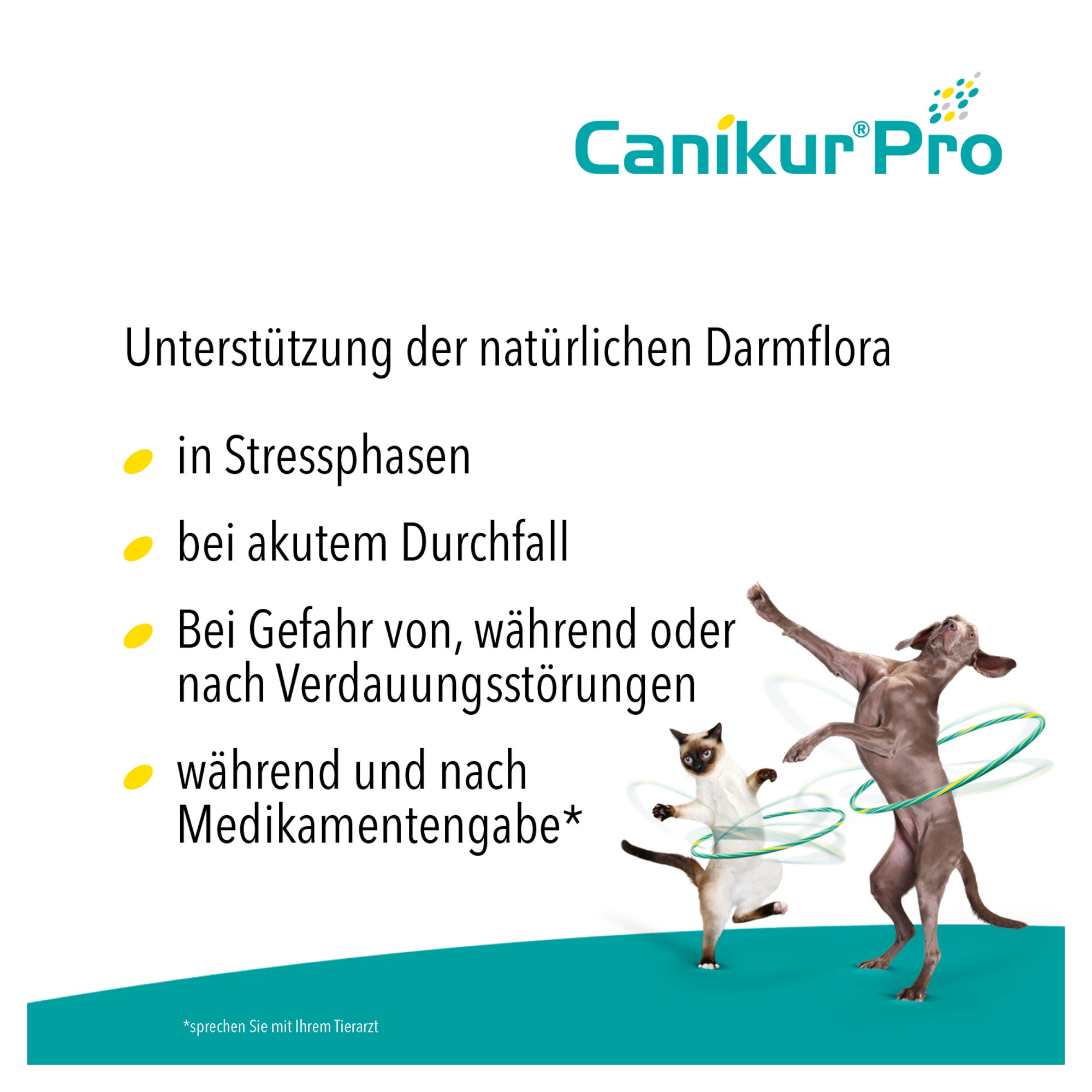 CANIKUR Pro Paste vet. online kaufen | medpex