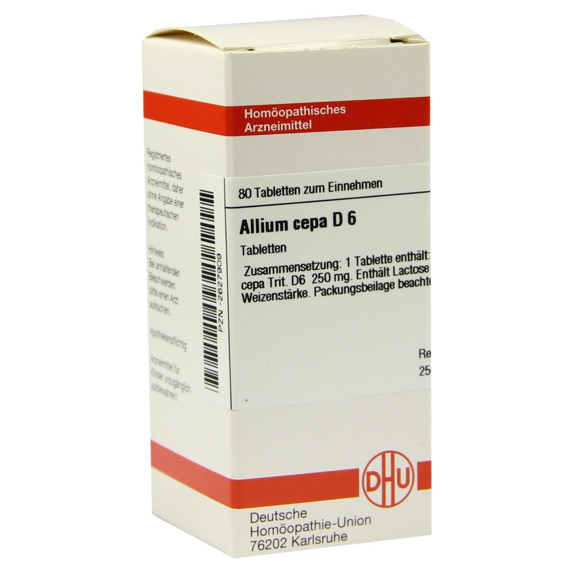 Zwiebel: traditionelles Hausmittel - PhytoDoc