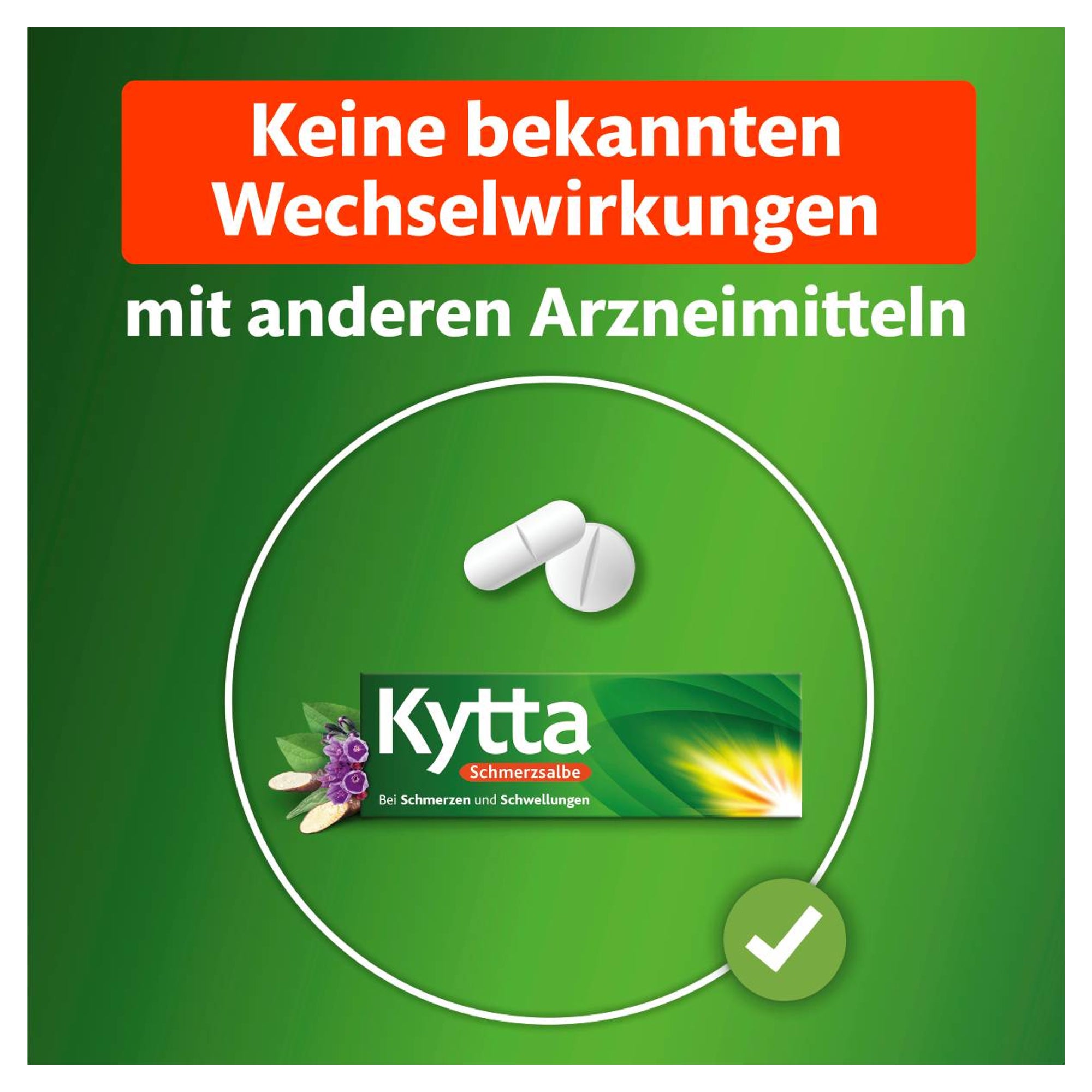 Kytta Schmerzsalbe 150 g günstig kaufen | medpex