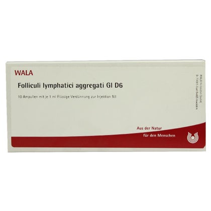 Folliculi Lymphatici Aggregati GL D 6 Am 10X1 ml günstig kaufen | medpex