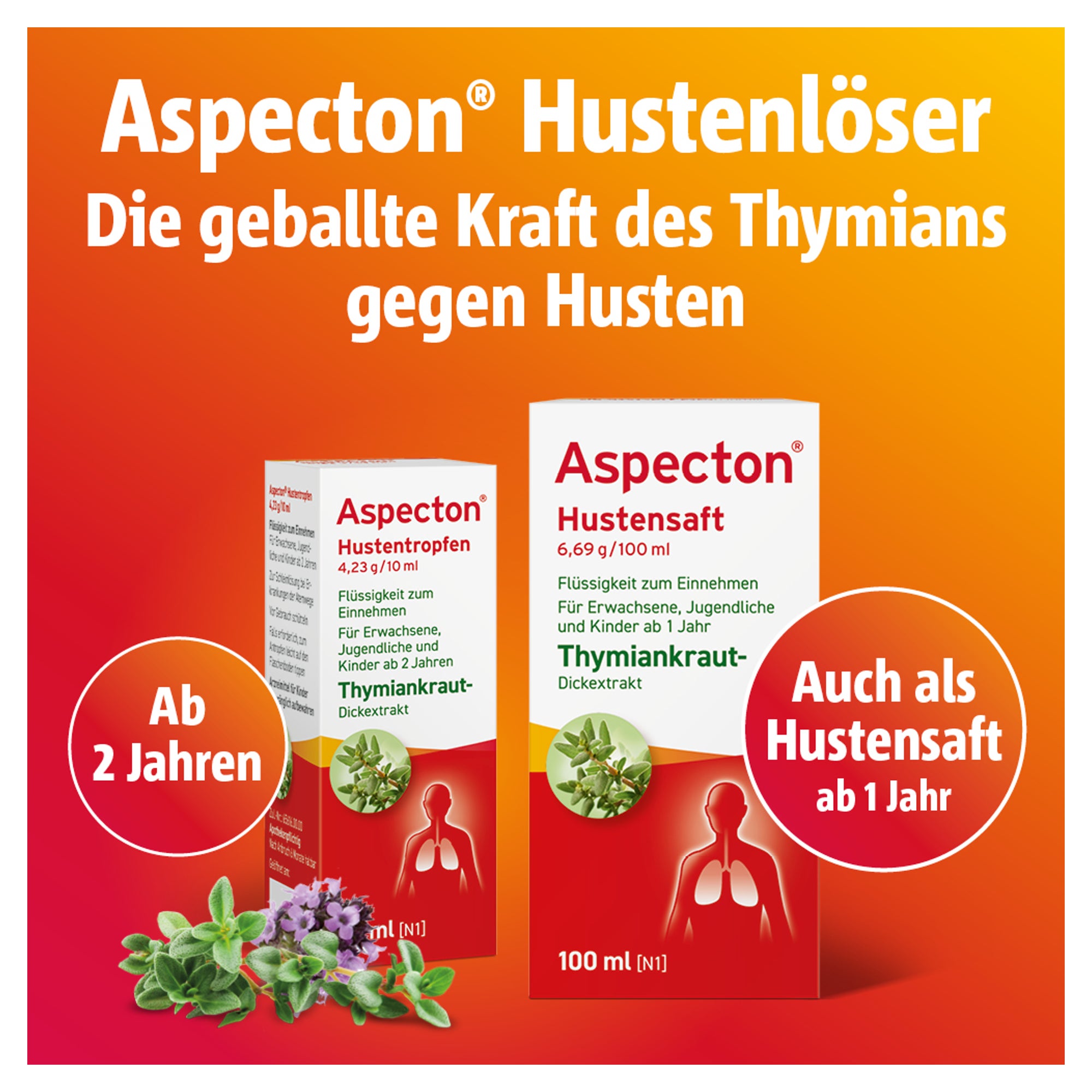Aspecton Hustentropfen online kaufen | medpex