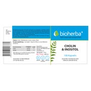 Cholin & Inositol 100 St günstig kaufen | medpex