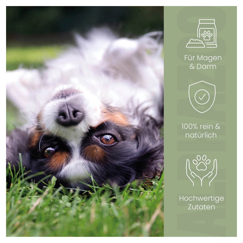 Pupsbremse Futteröl für Hunde 100ml 100 ml günstig kaufen | medpex