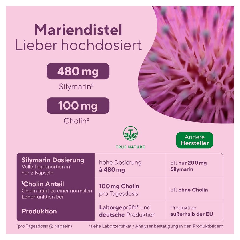 Leber Komplex Testsieger, Leber Kur mit Artischocke & Cholin 180 St ...