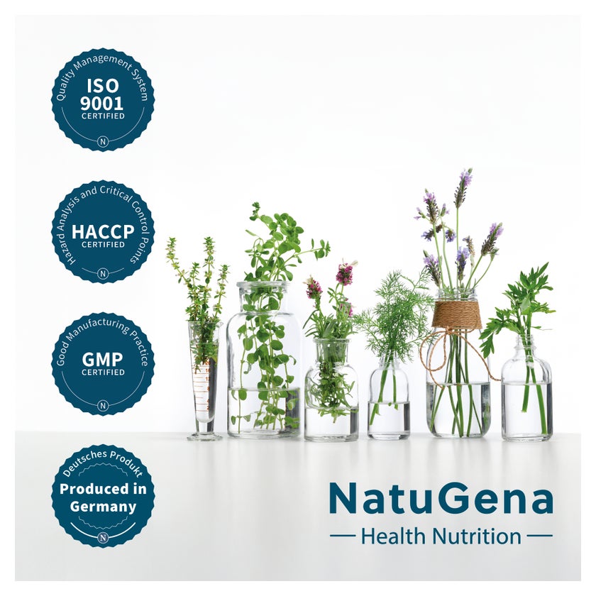 Fisetin+quercetin+spermidin+vitamin B3 Vegan Kaps. 90 St günstig kaufen ...