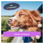 Coolness-Drops Baldrian, natürliche Beruhigung Hund Relax 60 St günstig ...